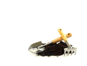 Compostul, ingrasamantul natural preparat acasa | Casa-gradina.ro