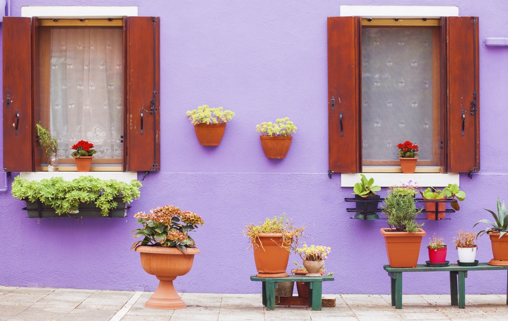 Gradina din ghivece. Cateva sfaturi pentru gradinile mici