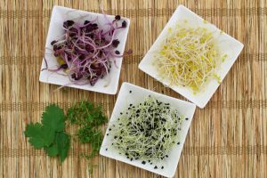 Cresonul, o verdeață plină de vitamine - Casa-gradina.ro