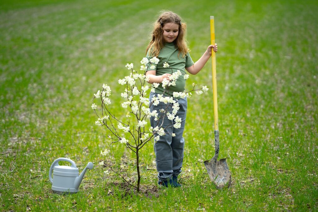 Catina de gradina | Casa-gradina.ro